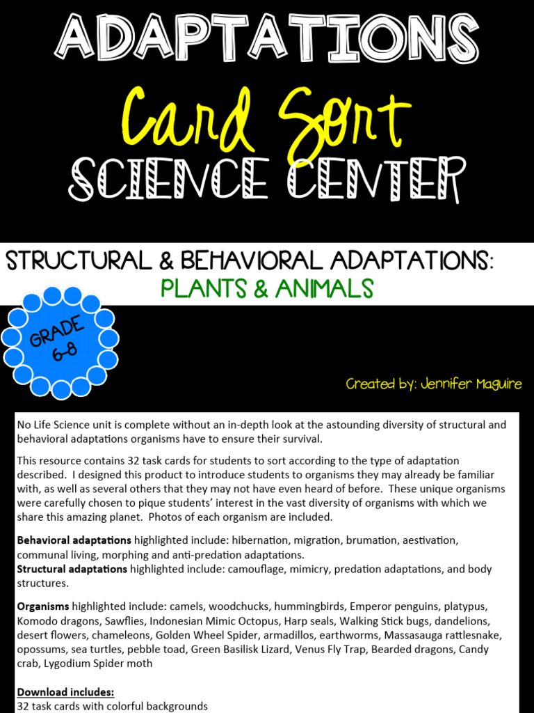 all adaptation mix sort activity | PDF
