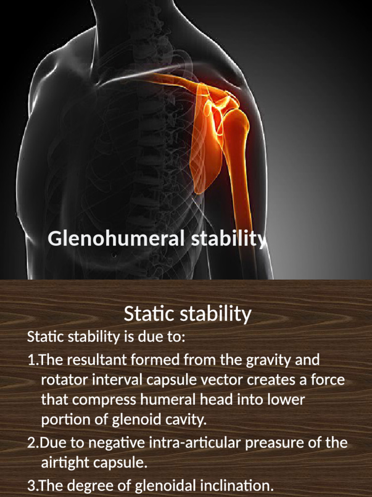 Glenohumeral Stability | PDF