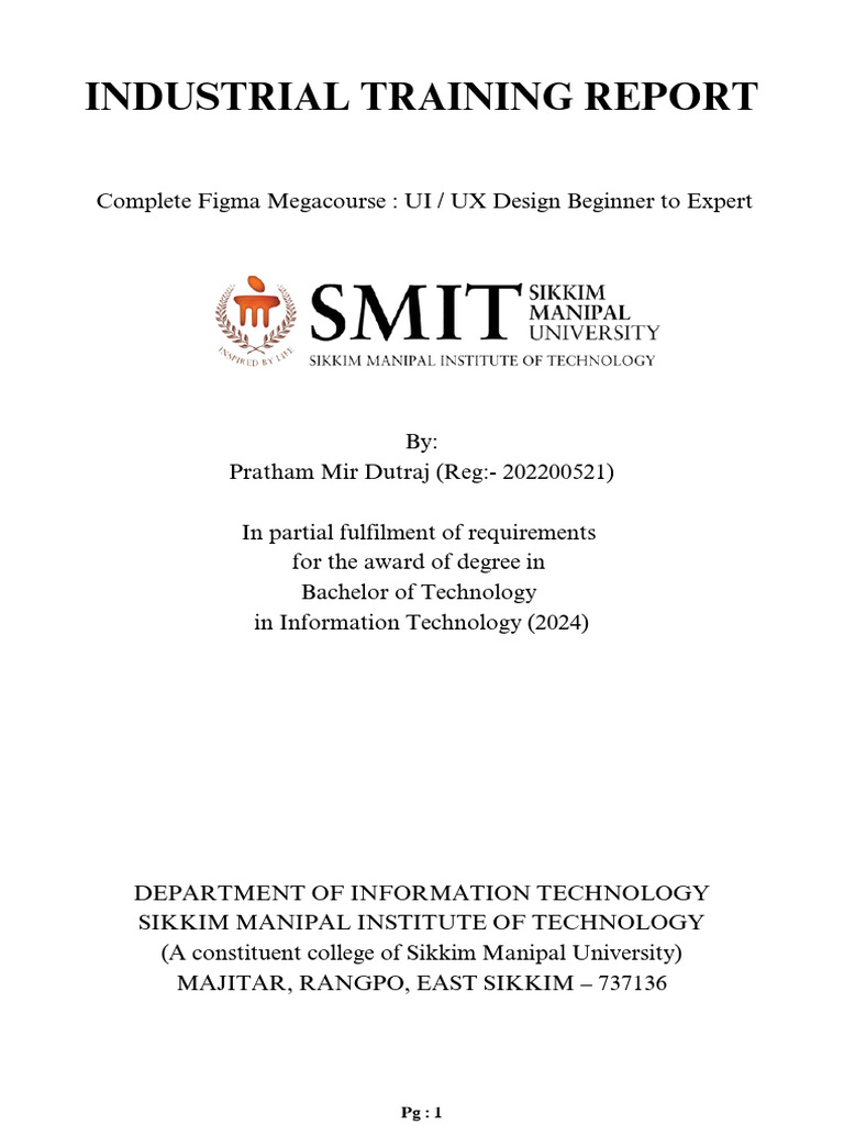 Industrial Training Report Double Paraphrased | PDF | Usability | User ...