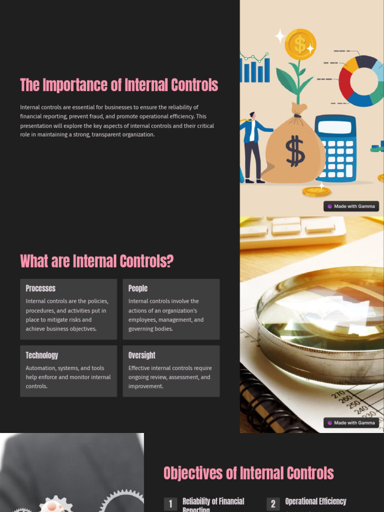 The Importance of Internal Controls | PDF | Internal Control | Business Economics