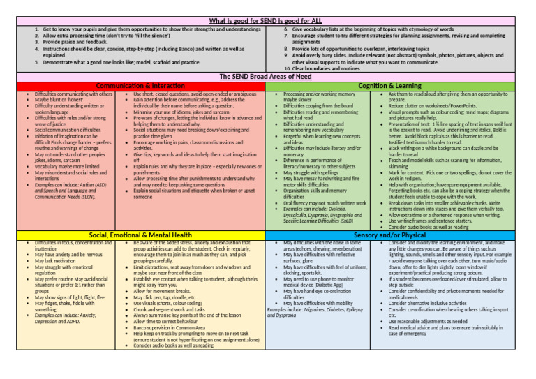The SEND Broad Areas of Need | PDF | Vocabulary | Learning Disability