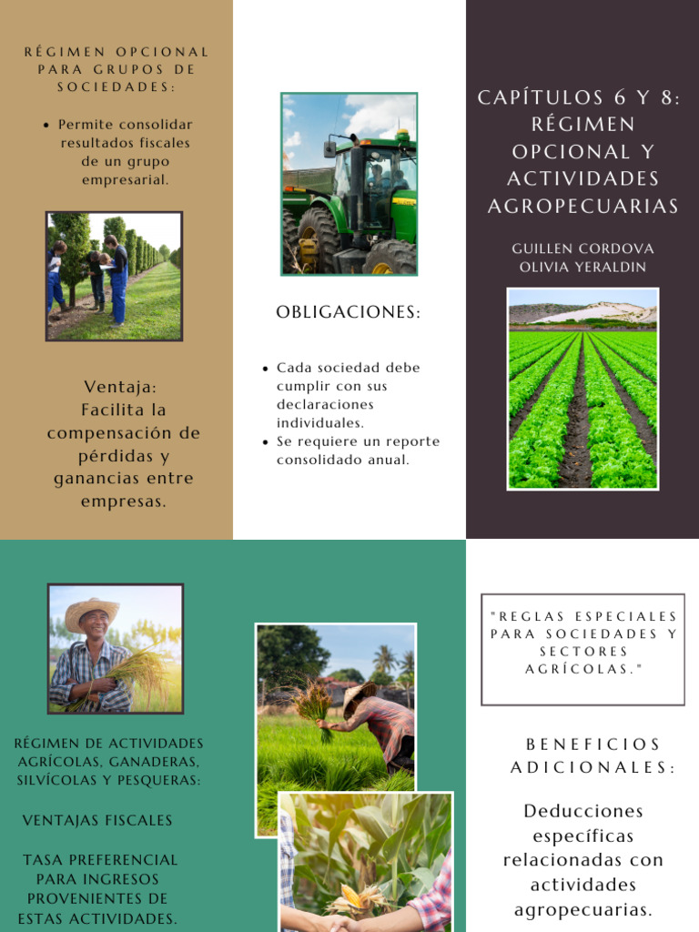 Capítulos 6 y 8 Régimen Opcional y Actividades Agropecuarias | PDF