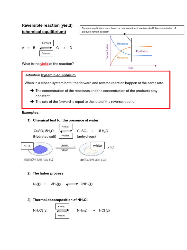 Dynamic Equilibrium Sheets | PDF | Chemical Reactions | Reaction Rate
