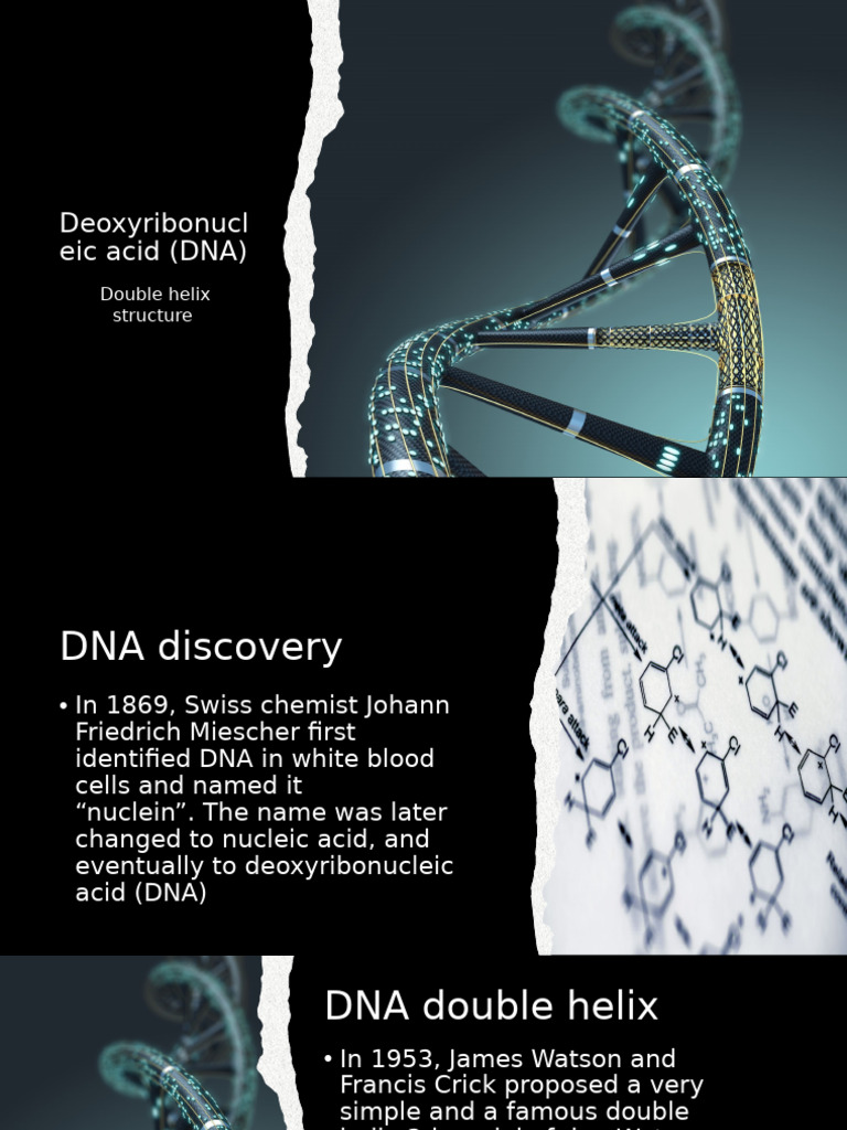 Dna Replication | PDF | Dna | Dna Replication