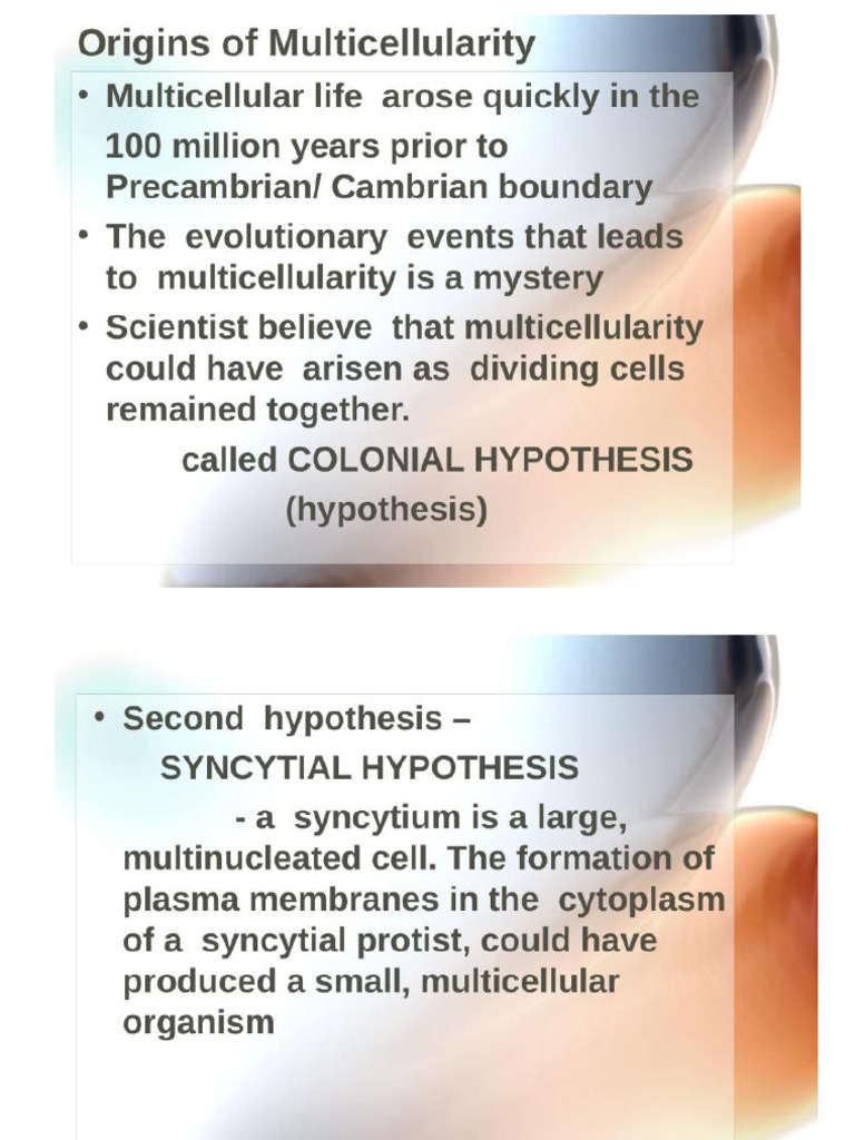 multicellularity and porifera | PDF