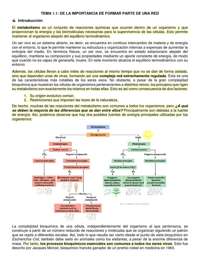 Wuolah Free Tema 1 Gulag Free | PDF | Metabolismo | Trifosfato de adenosina