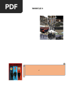 Republic Act 11131 | PDF