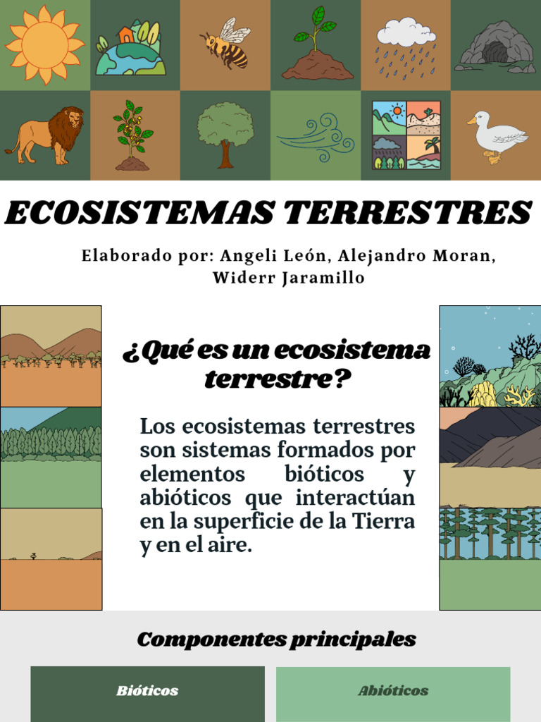 Ecosistemas Terrestres | PDF | Clima templado | Biogeografia