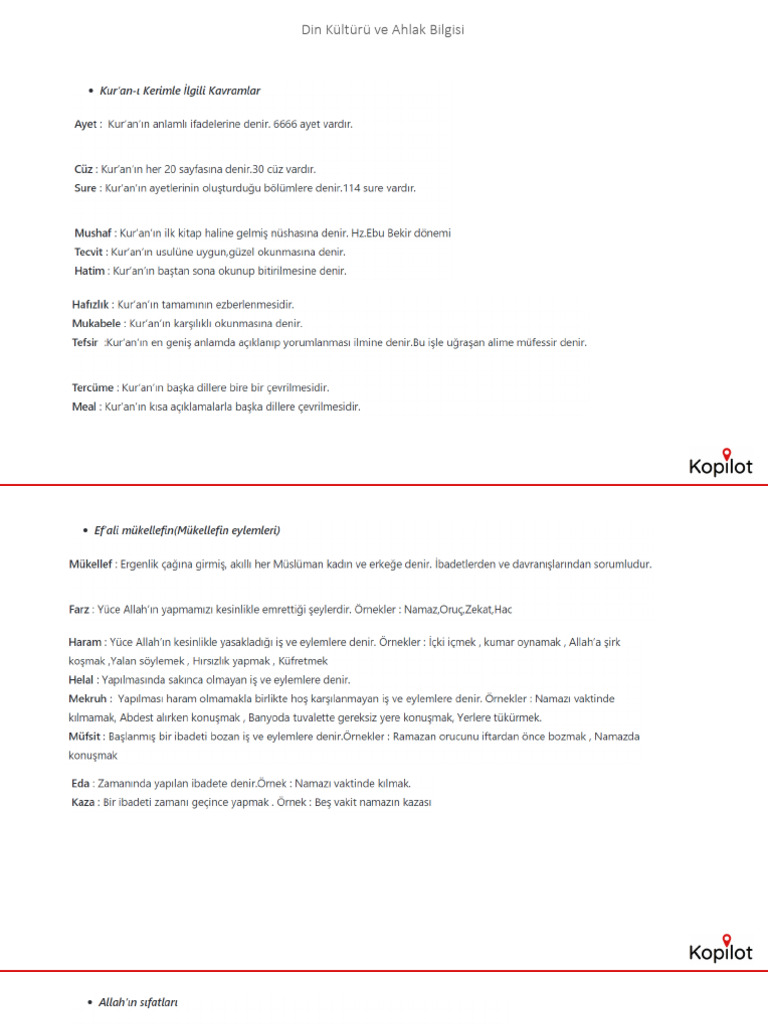 Din Özet (Terimler) | PDF