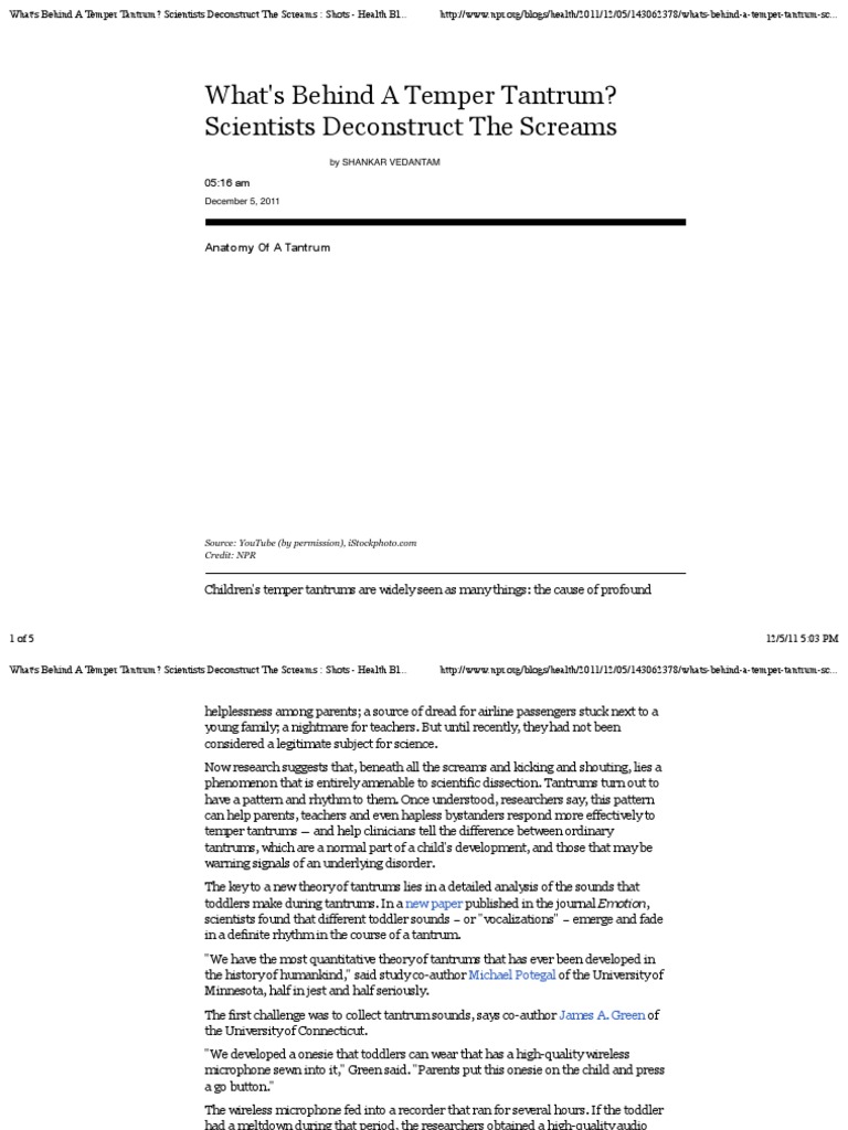 What's Behind A Temper Tantrum | PDF | Anger