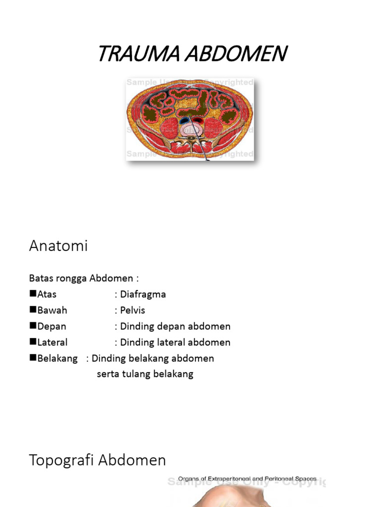 Panduan Trauma Abdomen | PDF