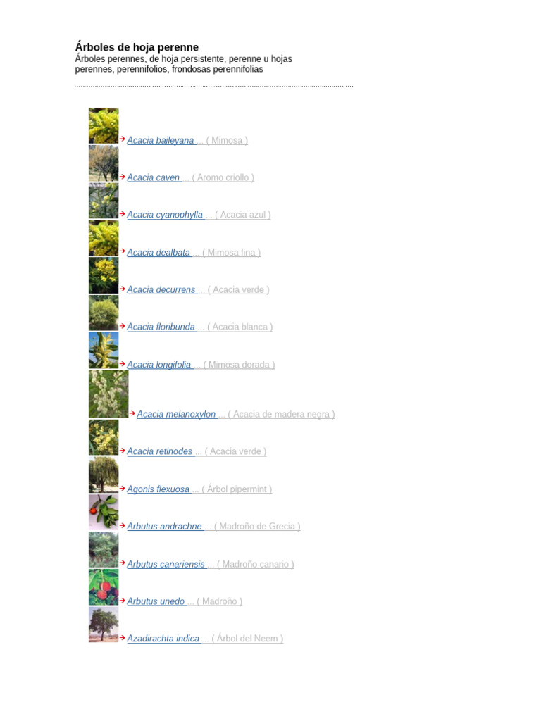 rboles de hoja perenne | PDF | Abeto | Abeto Douglas