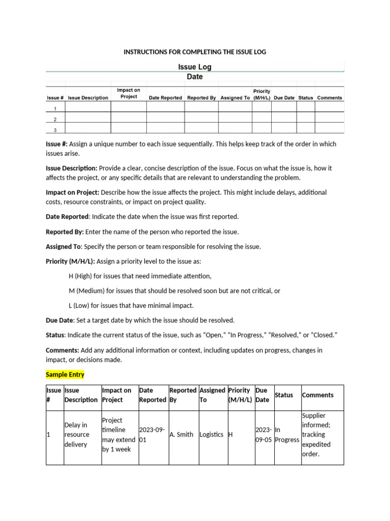 1. Guidelines for completing the Issue Log | PDF | Computing