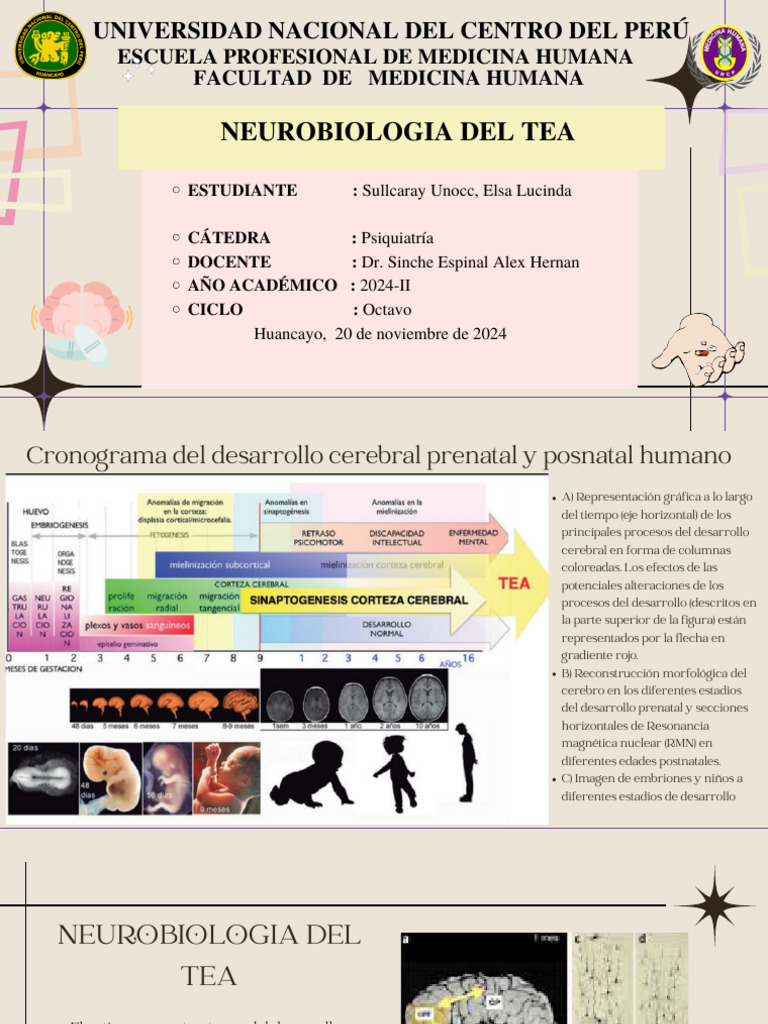 Neurobiologia Del Tea-Sullcaray | PDF | Cerebro | Espectro autista