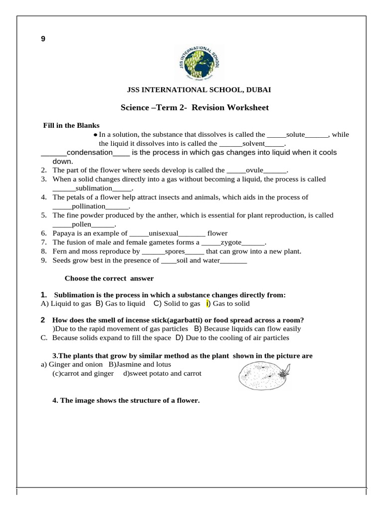 Science Revision Worksheet: Term 2 | PDF | Flowers | Plants