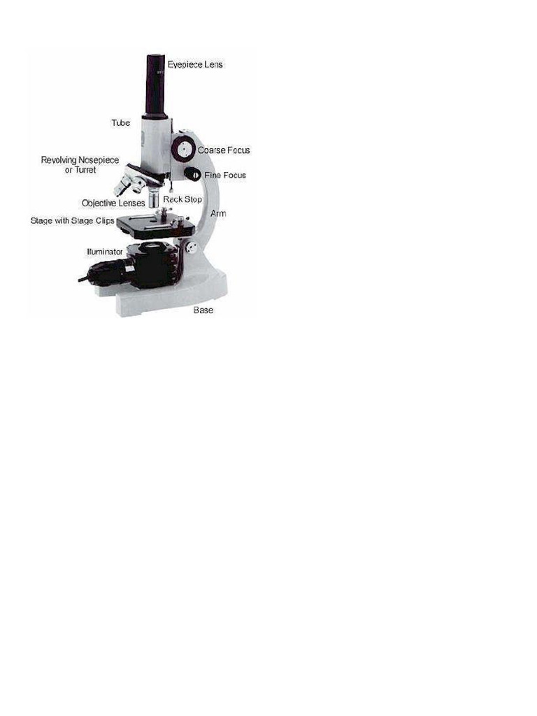 Microscope Parts and Usage Guide | PDF | Optics | Electromagnetic Radiation