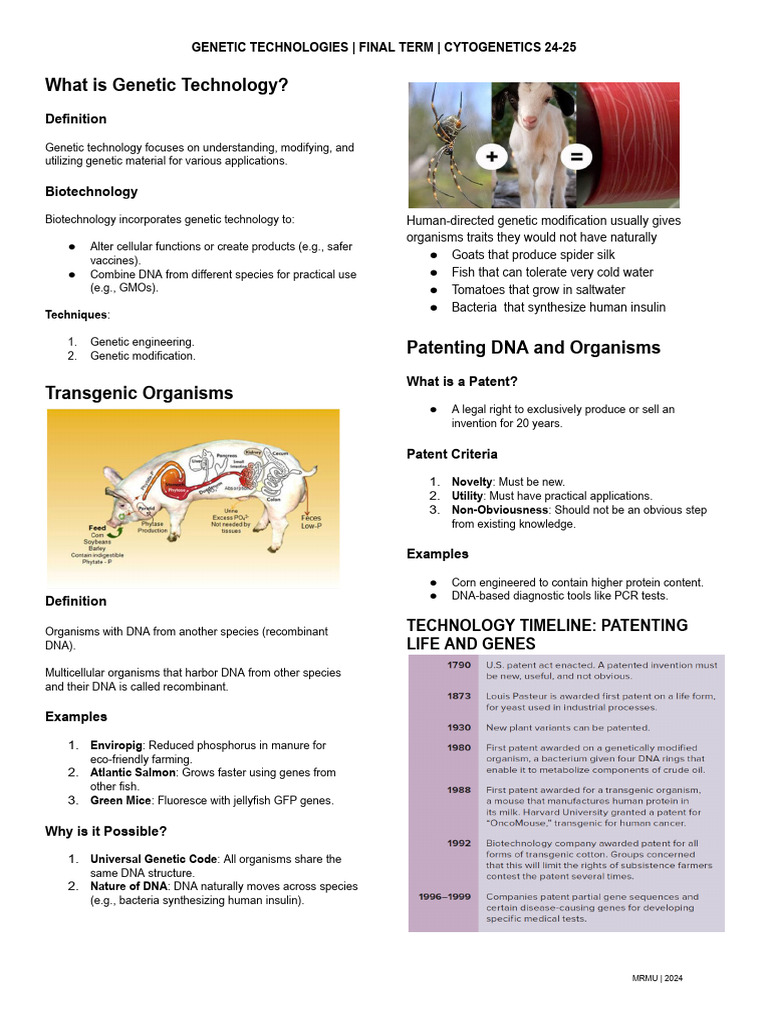 Examples of Genetic Engineering | PDF | Genetically Modified Organism ...