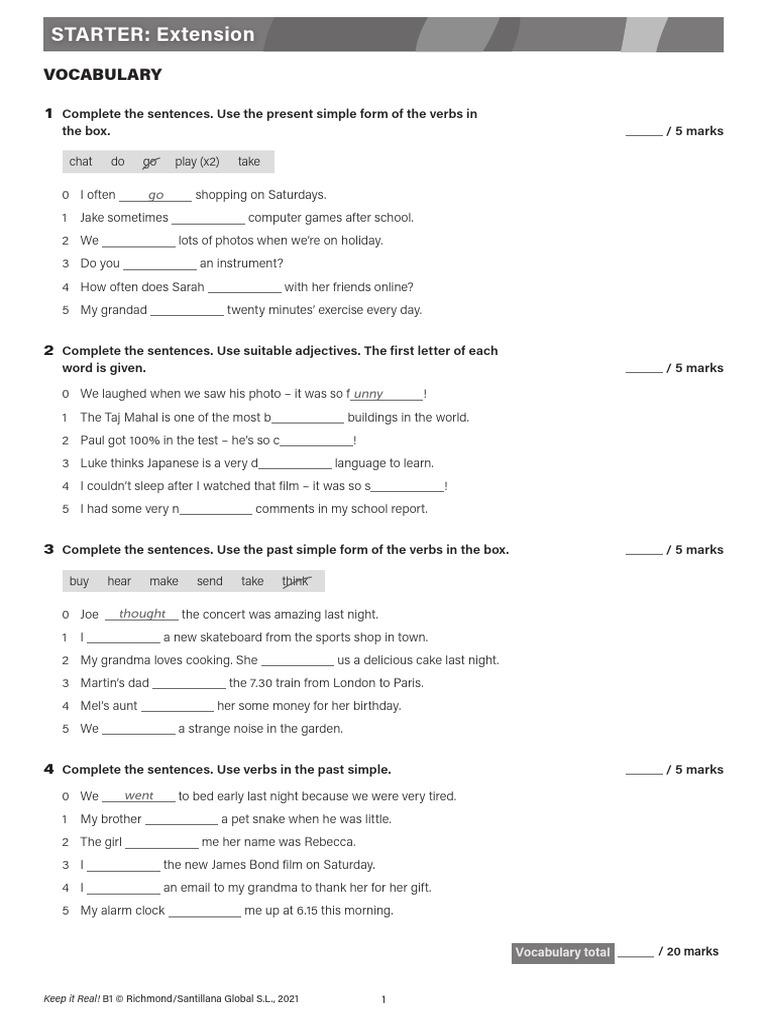 KIR B1 T1 Test Starter Extension - Cleaned | PDF