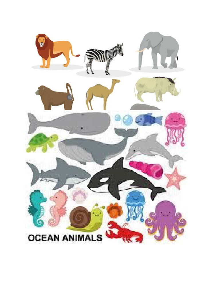 Describing Animal Picture Drills | PDF
