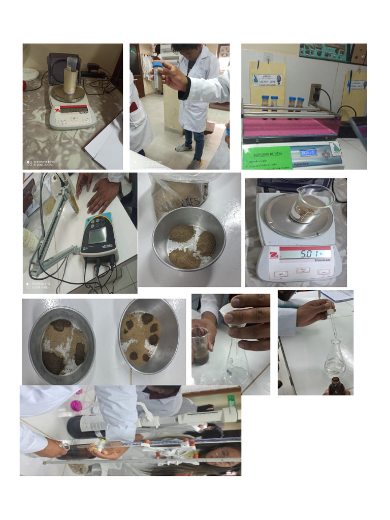 Documento (4) Imprimir | PDF