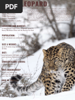 Subject Enrichment Activity Social Science: Endangered Species | PDF ...