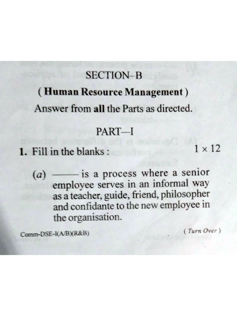 DSE 1,2 .5th sem | PDF