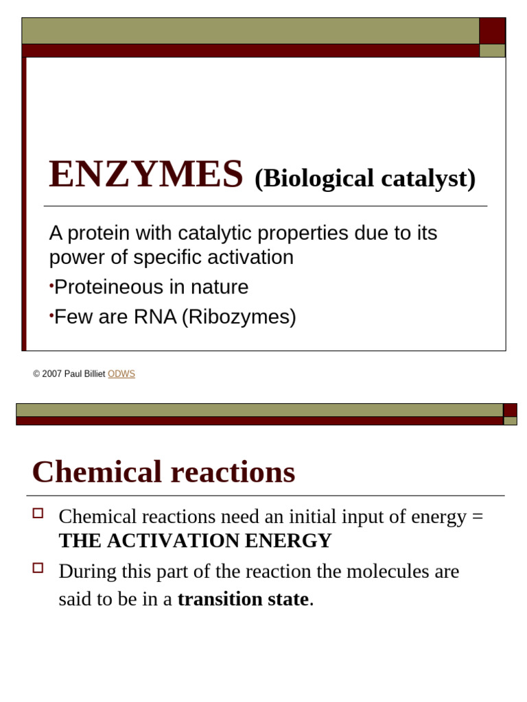 ENZYMES | PDF | Enzyme Inhibitor | Enzyme