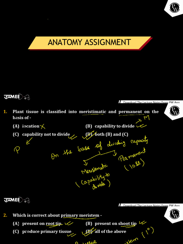 Plant Tissue Classification Quiz | PDF | Plant Stem | Leaf