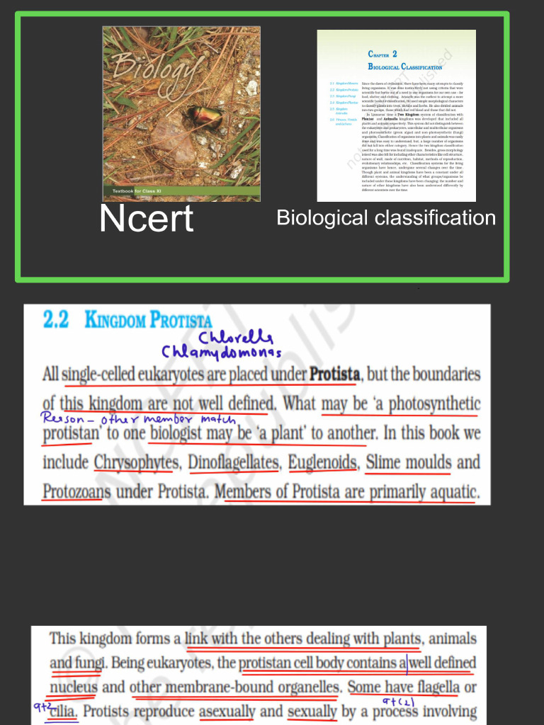 Biological Classification - NCERT Transcript (Part 2) | PDF