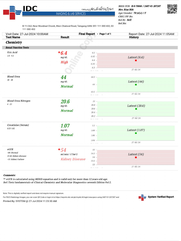 Patient Report PDF | PDF