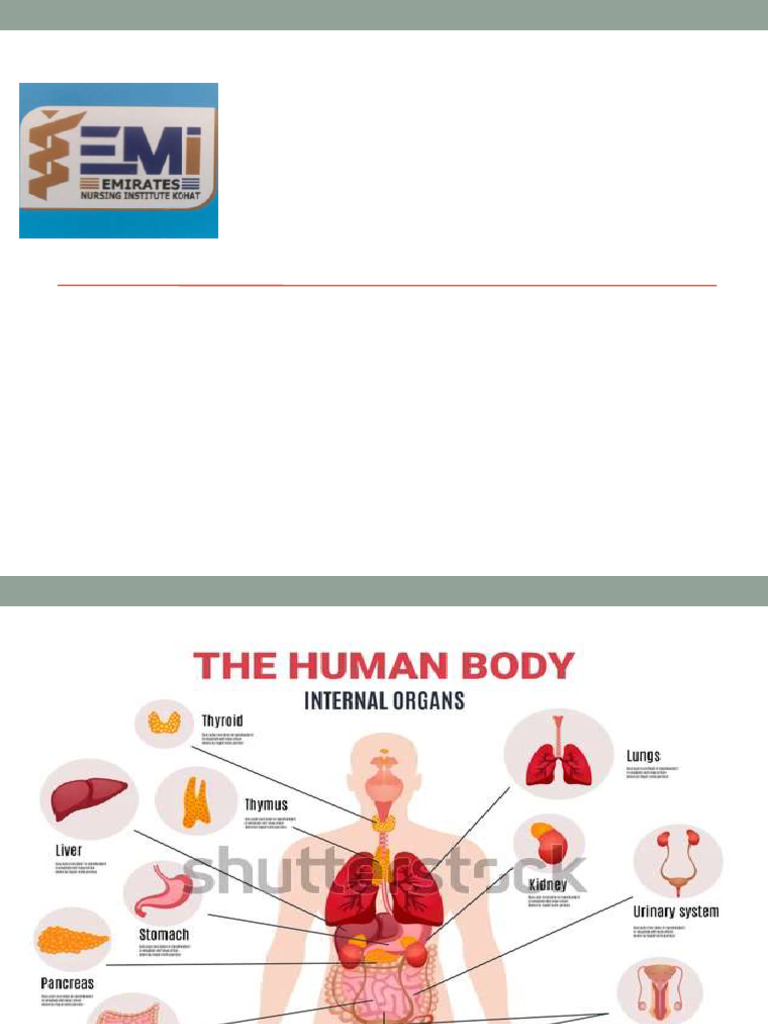 Unit-I (Introduction To Human Body) | PDF | Human Body | Abdomen