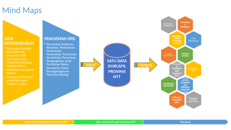 MindMaps SatuData | PDF