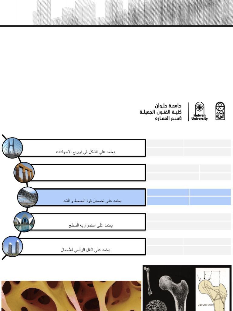 Co-Active System | PDF
