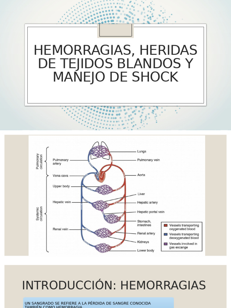 Manejo de Heridas 1 | PDF | Sangrado | Herida