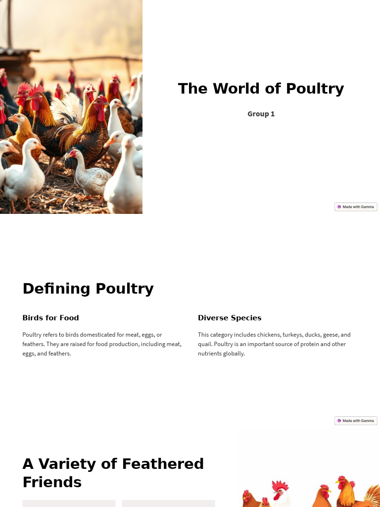 The World of Poultry | PDF | Poultry | Meat