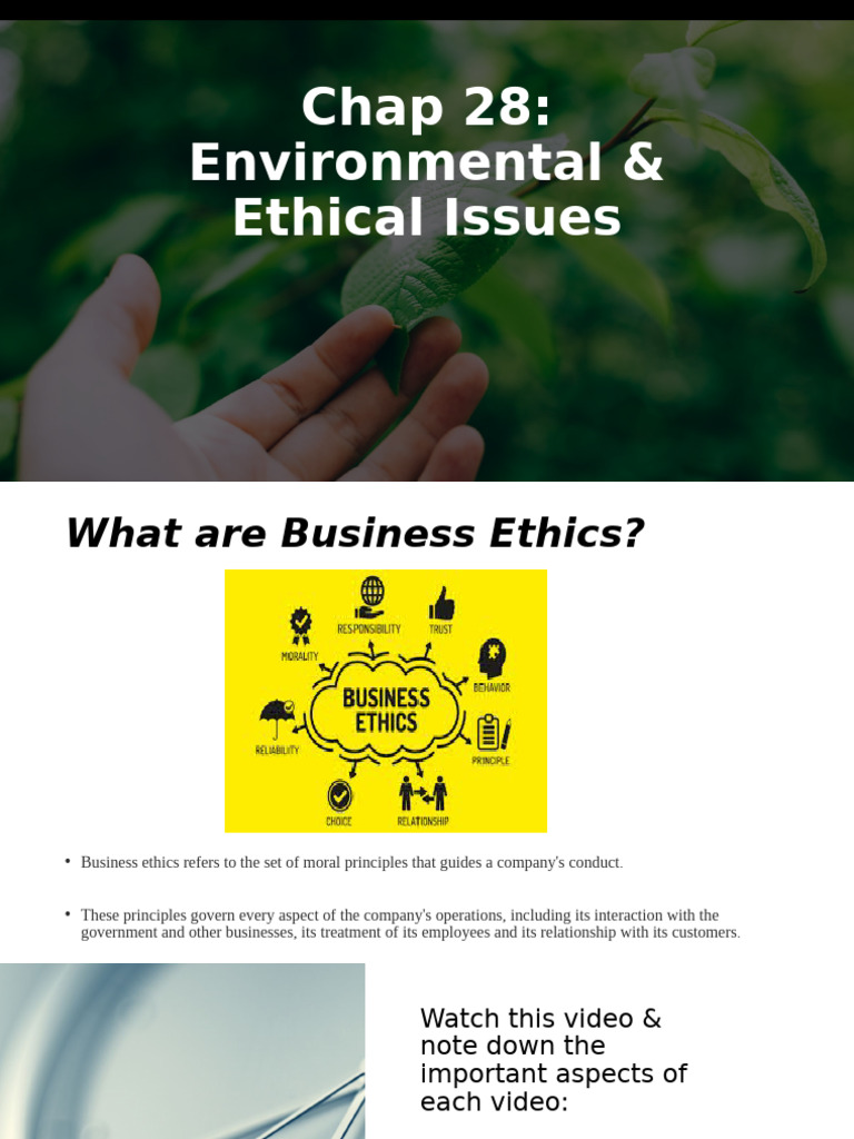 Chap 28 Environmental Ethical Issues | PDF | Sustainability | Externality