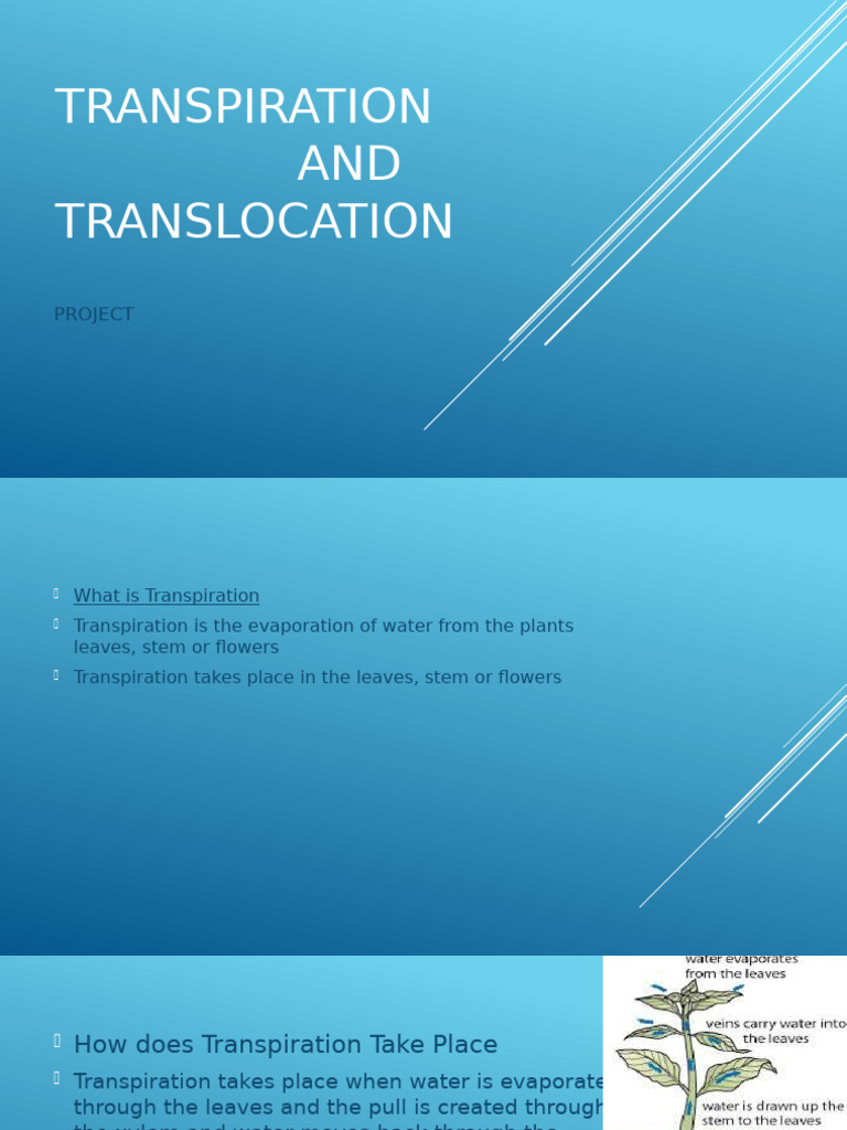 TRANSPIRATION and translocation | PDF