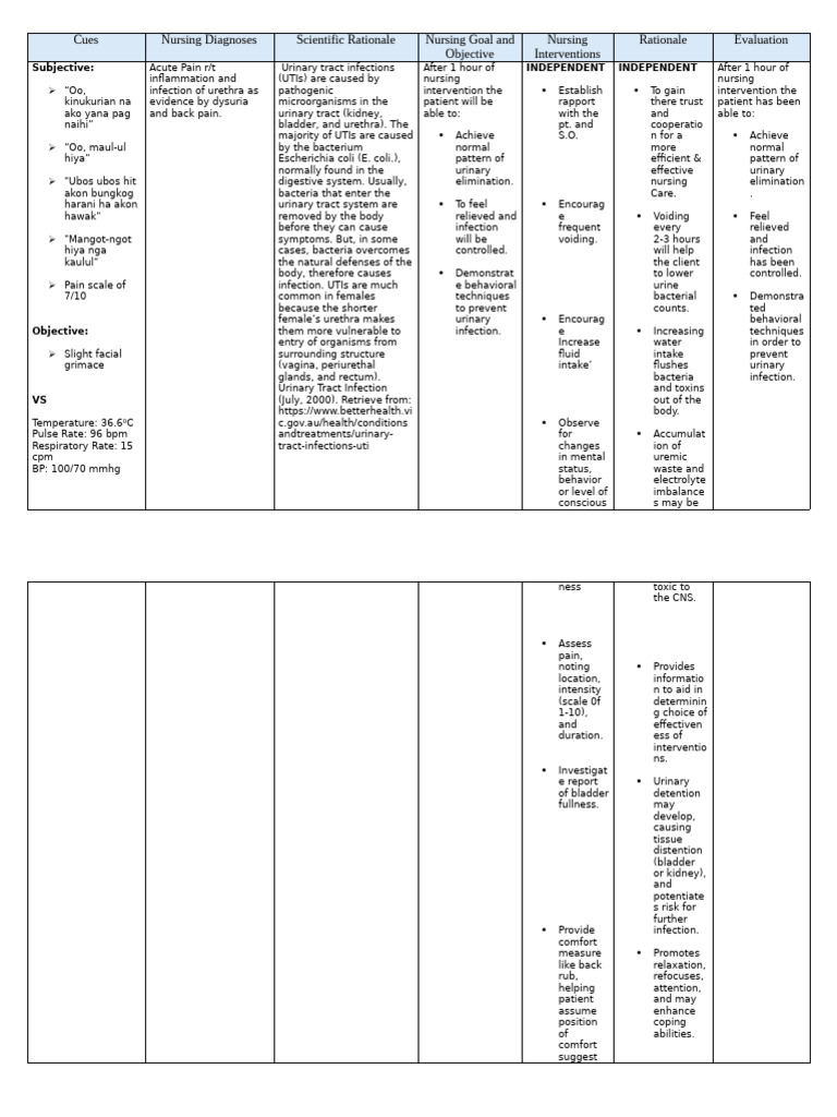 NCP Uti | PDF | Urinary Tract Infection | Medical Specialties