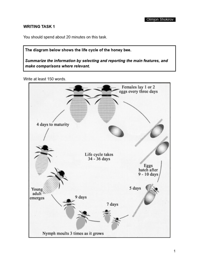 Writing Mock 203 | PDF