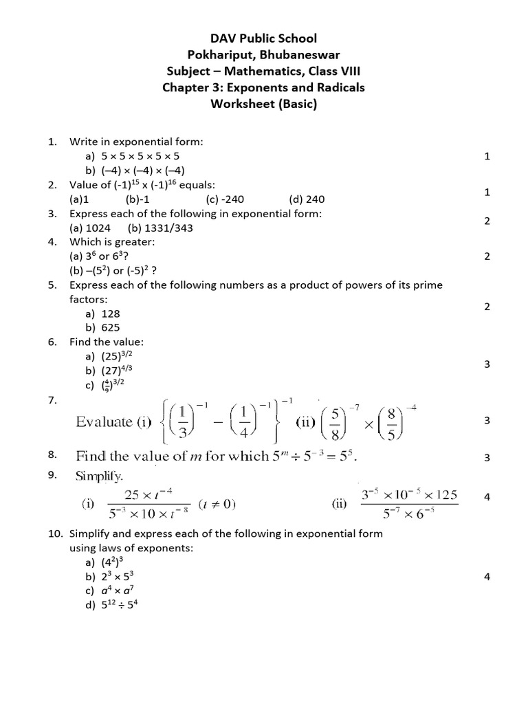 cls-8 Basic Worksheet1 | PDF