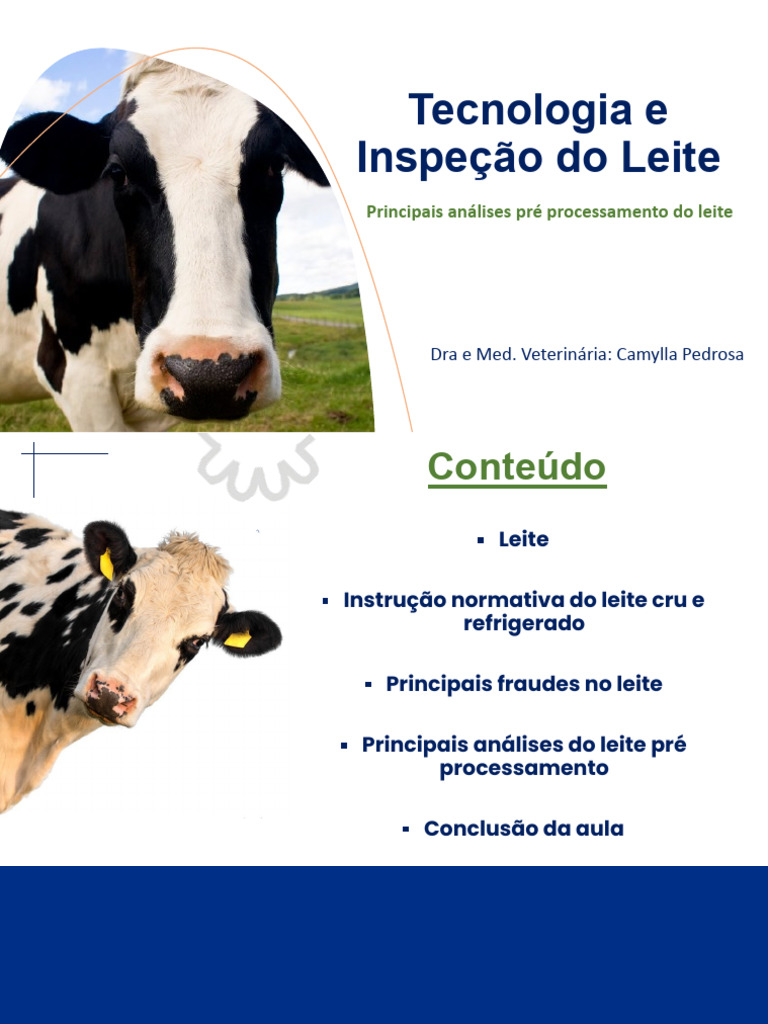 Camylla - Higiene e Inspeção Do Leite | PDF | Leite