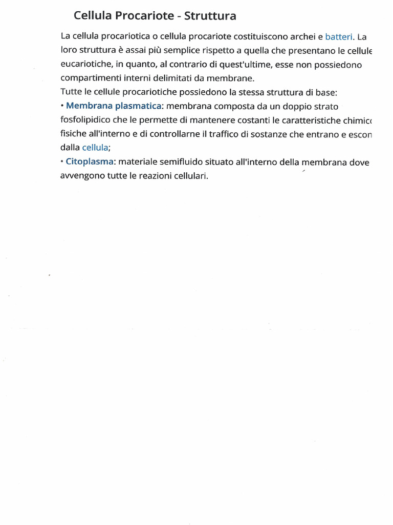Cellula Procariote | PDF