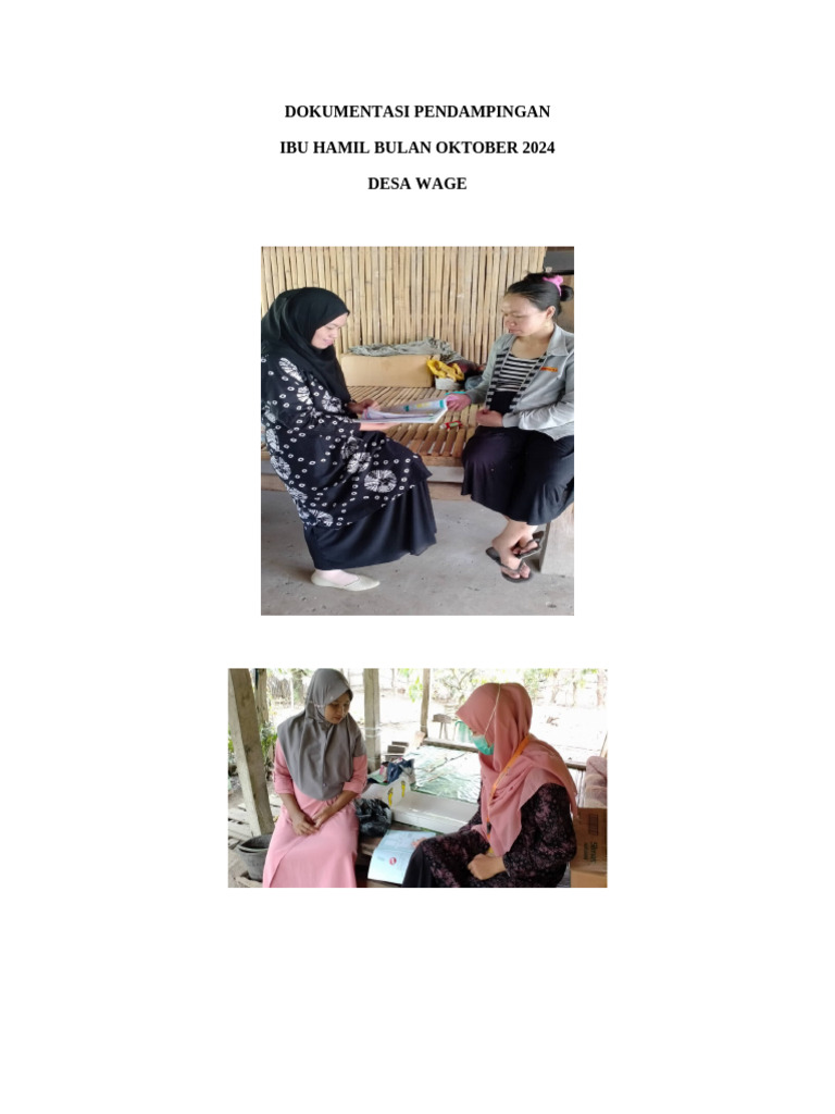 Dokumentasi Pendampingan Bumil | PDF