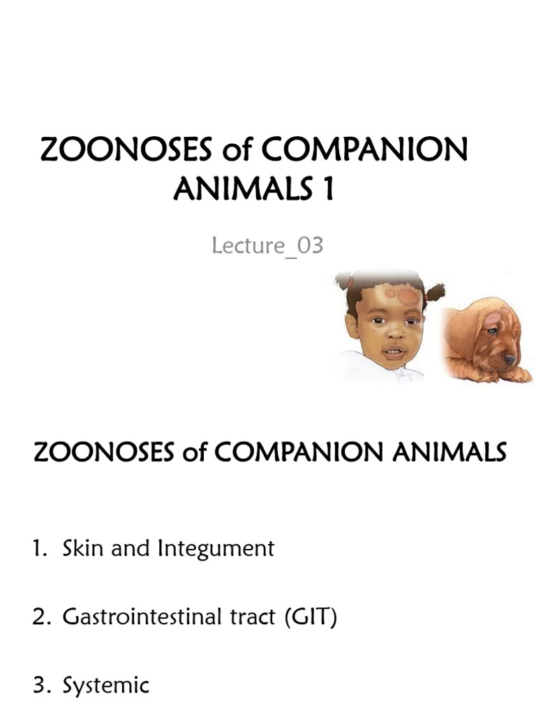 Lecture - 03 Companion Animals 01 | PDF | Medical Specialties