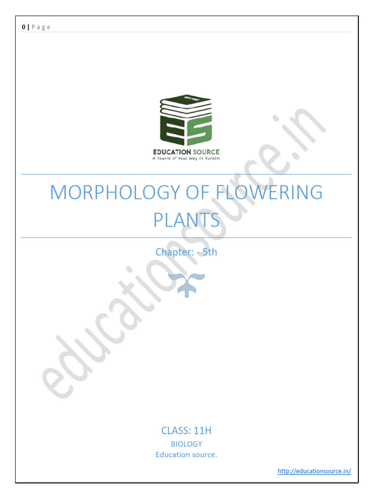 Monocarpellary vs Multicarpellary Plants | PDF | Leaf | Root