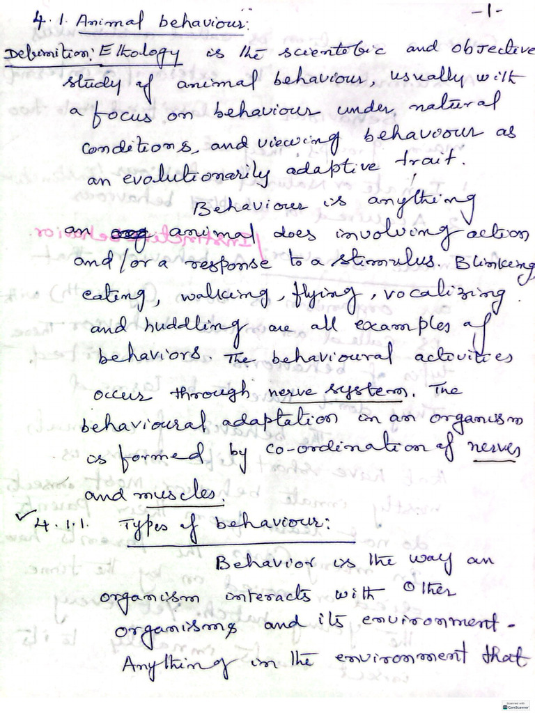 Animal Behaviour | PDF