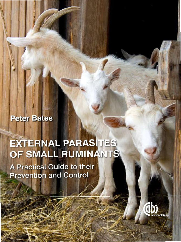 External Parasites of Small Ruminants | PDF | Lamb And Mutton | Sheep