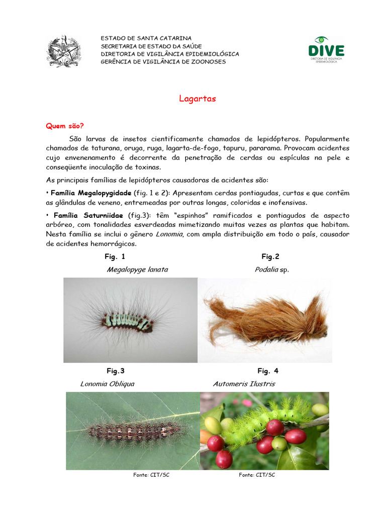 Lagartas_Para_populacao | PDF | Lepidoptera