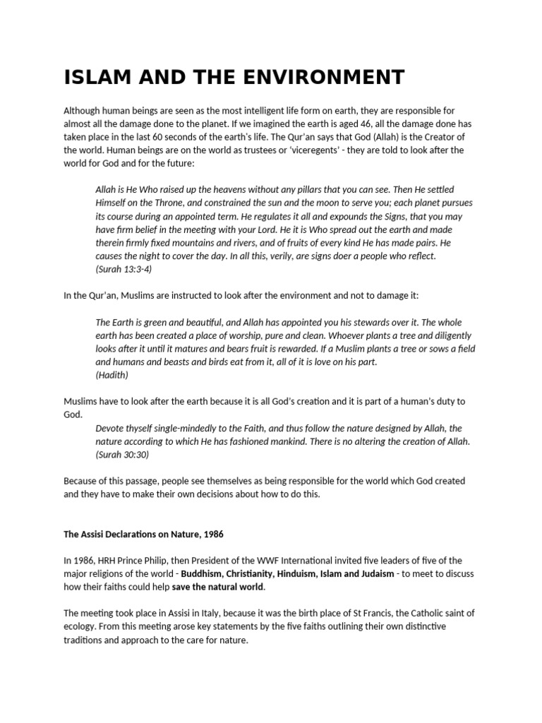12 Islam and The Environment | PDF | Allah | Tawhid