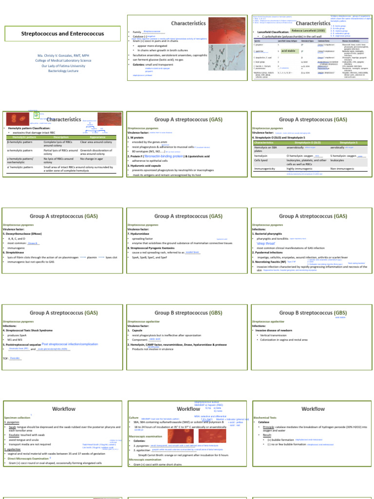 BACT Lecture. Streptococcus & Enterococcus | PDF | Streptococcus | Medical Specialties